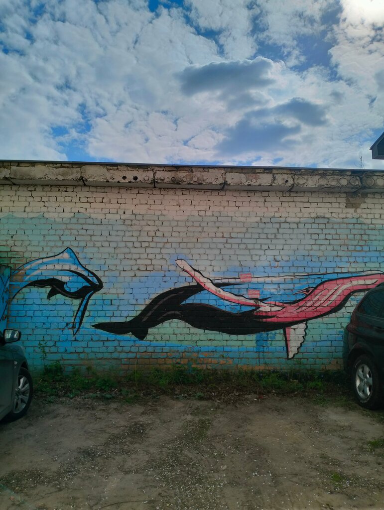 Sokak sanatı Граффити Киты, Voronej, foto