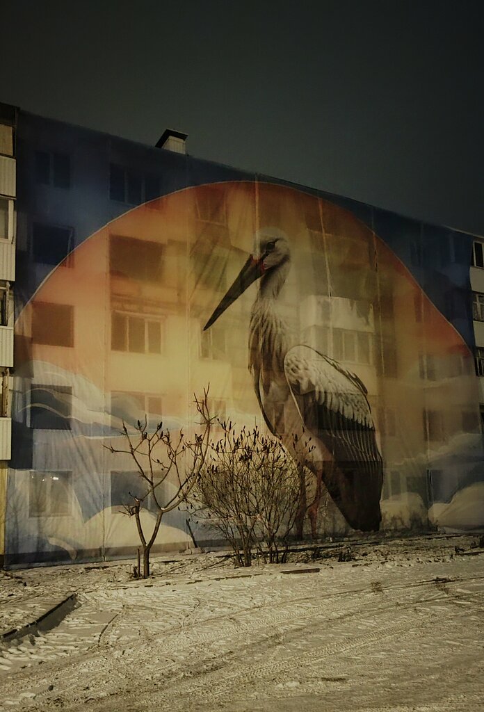 Orman Бычков лес, Belgorodskaya oblastı, foto