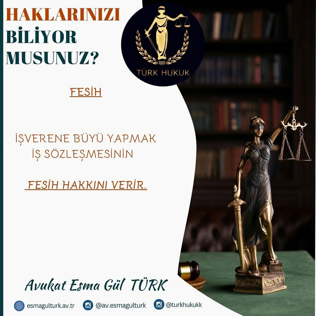 Avukatlar Türk Hukuk Avukat Esma Gül Türk, Denizli, foto