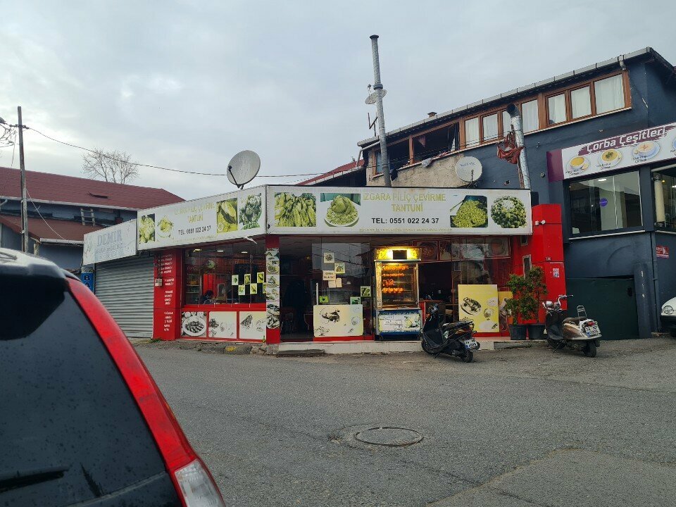 Fast food Izgara Piliç Çevirme Tantuni, İstanbul, foto