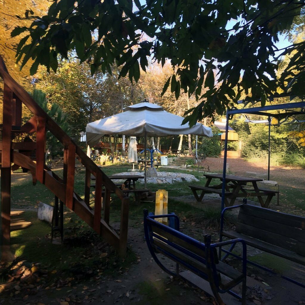 Piknik alanı Zirve Piknik Alanı, İstanbul, foto