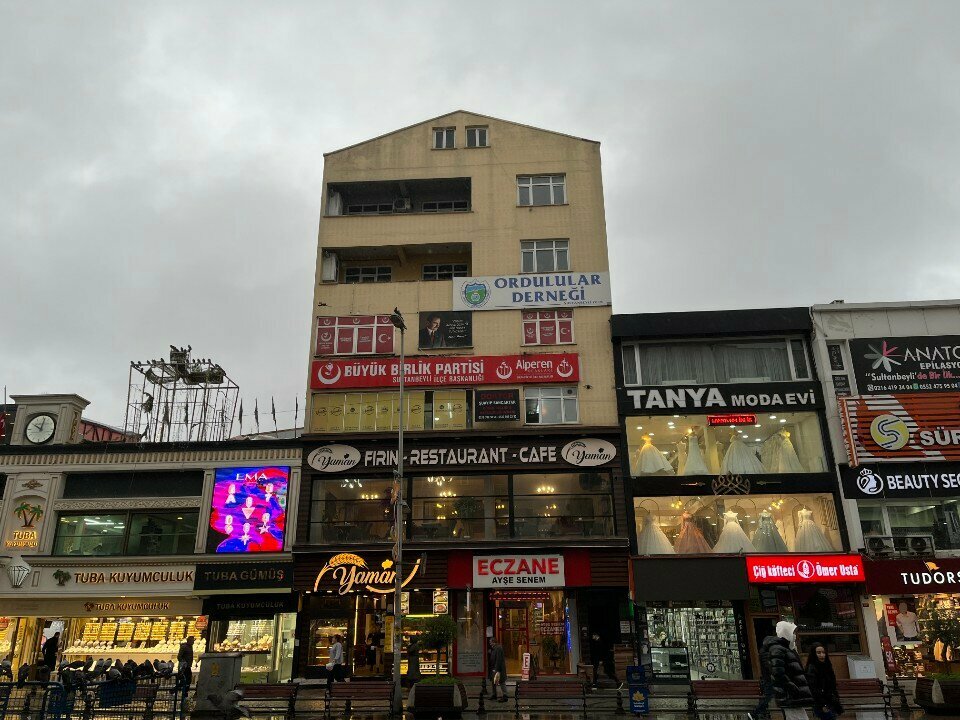 Siyasi partiler Büyük Birlik Partisi, İstanbul, foto
