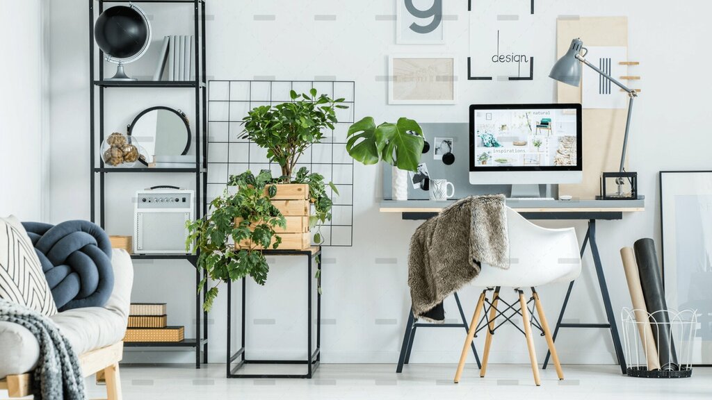 Danışmanlık hizmetleri Nas Management Consultancy, Dubai, foto