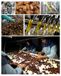 Srm Dates Factory (Umm Dera, Al Raafah, Umm Al Quwain), gıda üreticileri
