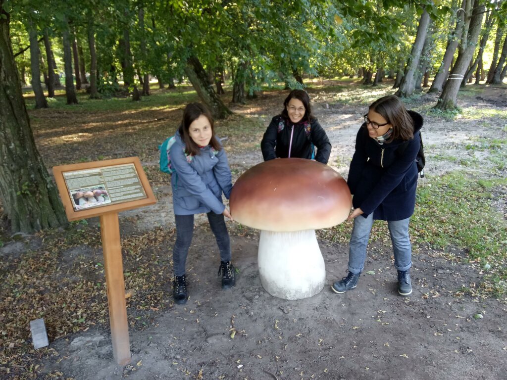 Park, sokak heykeli Белый гриб, Zelenogradsk, foto