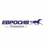 Euro-Siv-Astana (Jahansha Dosmuhameduly kóshesi No:38/3), oto servis ve bakım ekipmanları  Astana'dan