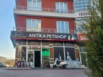 Antika Petshop (Konya, Karatay, Fetih Cad., 24), petshop  Konya'dan