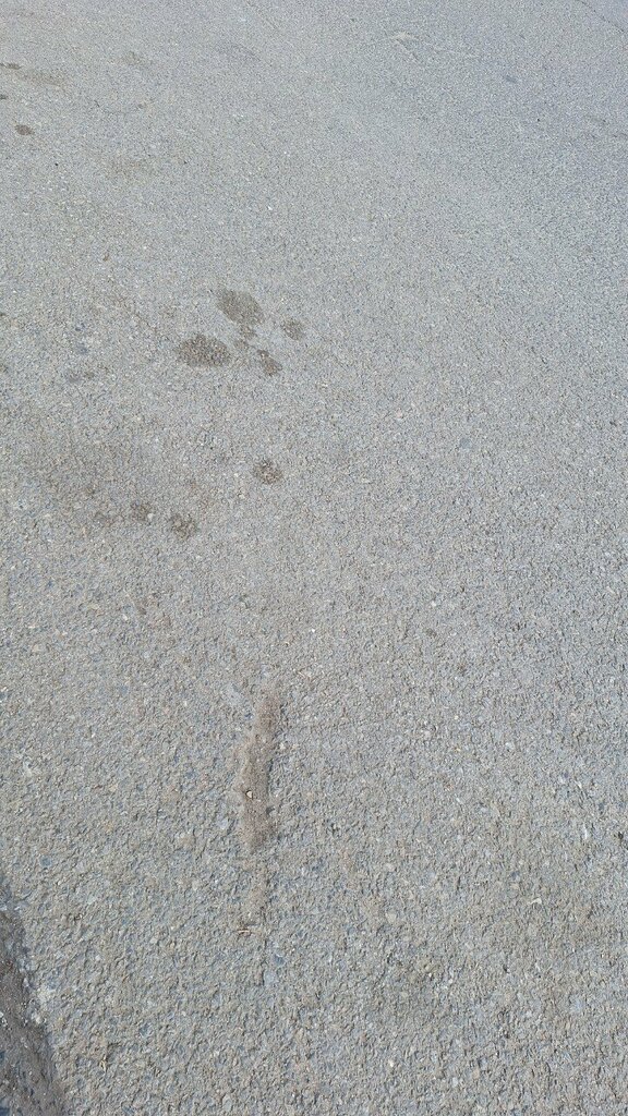 Market Hançer Gıda Feyzullah Hançer, İstanbul, foto