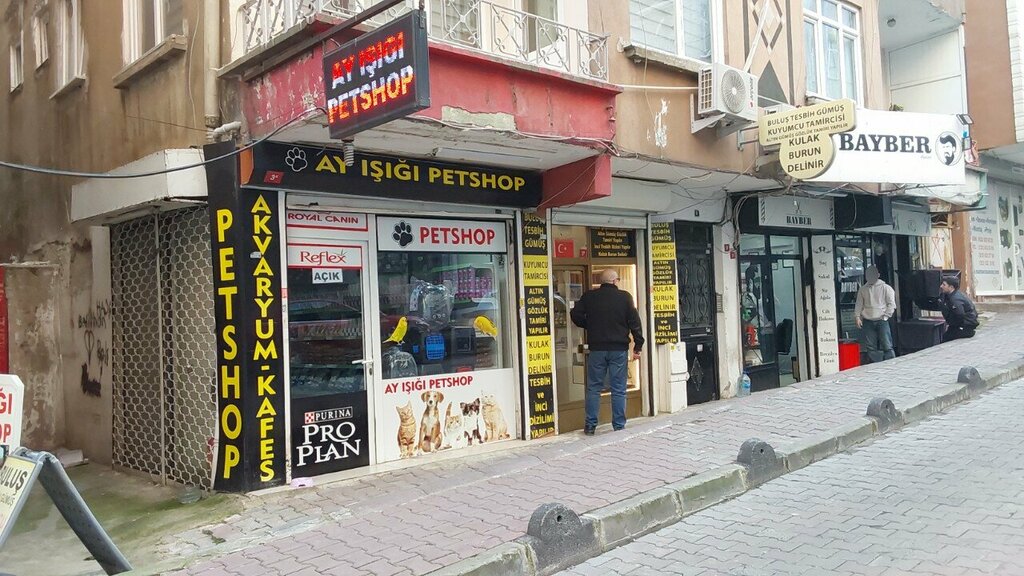 Petshop Ay Işığı Petshop, İstanbul, foto