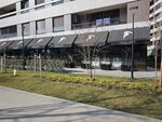 Gallo Nero (Omladinskih Brigada Street No:96M), restoran  Belgrad'dan