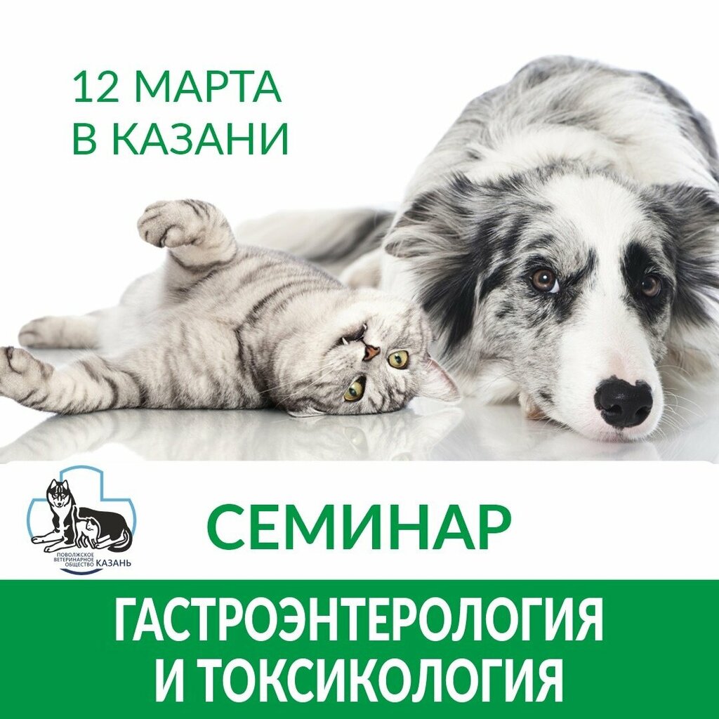 Meslek kursları Поволжское ветеринарное общество, Kazan, foto