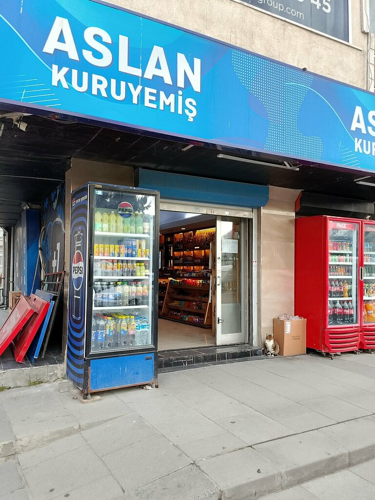 Kuruyemiş, atıştırmalık, kuru meyve Aslan Kuruyemiş, İstanbul, foto