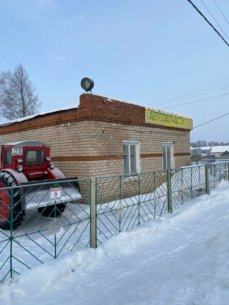Otomobil servisi Автосервис, Tataristan, foto