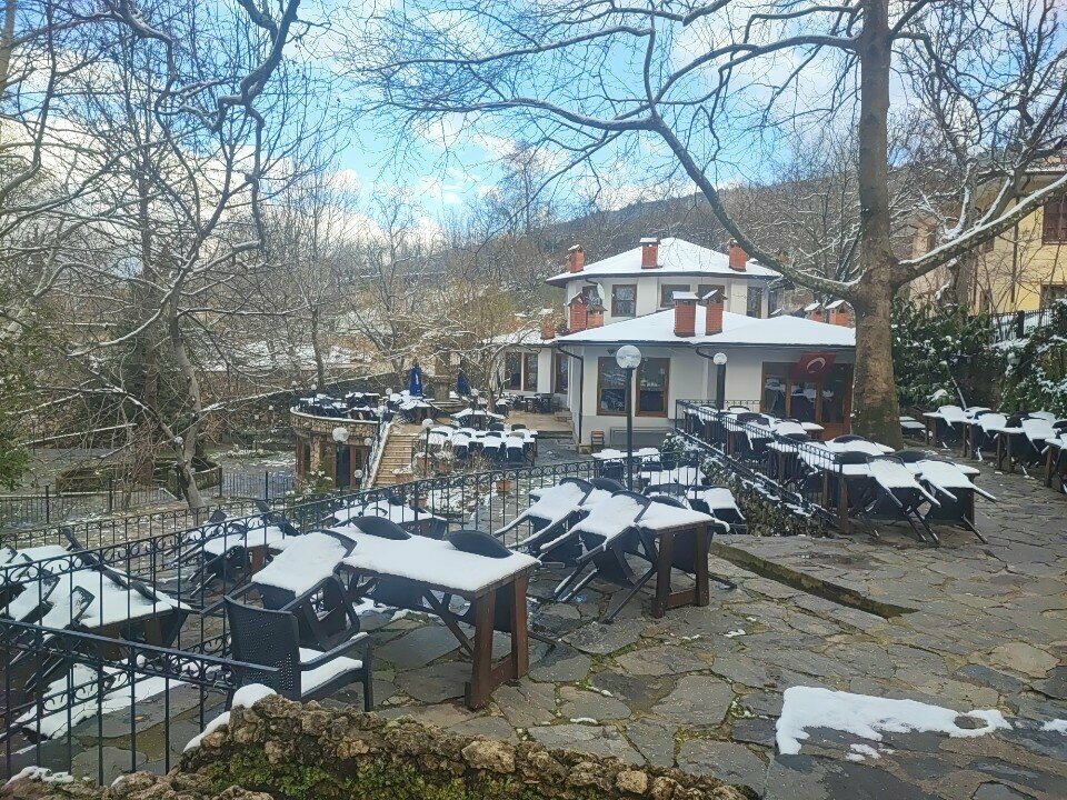 Restoran Tarihi Çınar, Bursa, foto