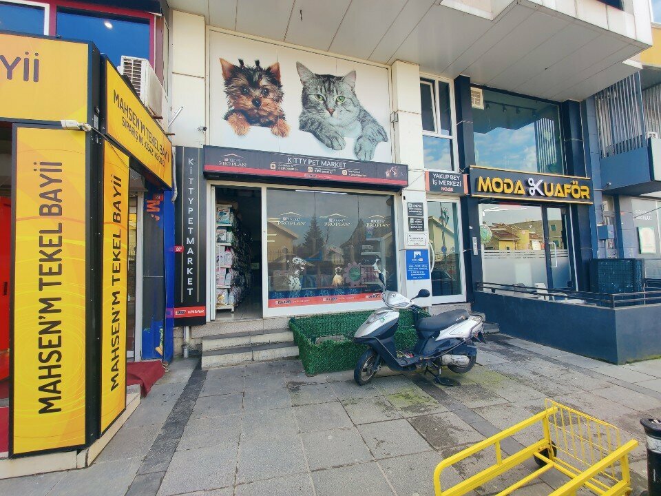Petshop Kitty Pet Market, İstanbul, foto