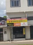 Transfer andina (Santa Cruz de la Sierra, Avenida El Trompillo, 177), satış ofisi  Bolivya'dan