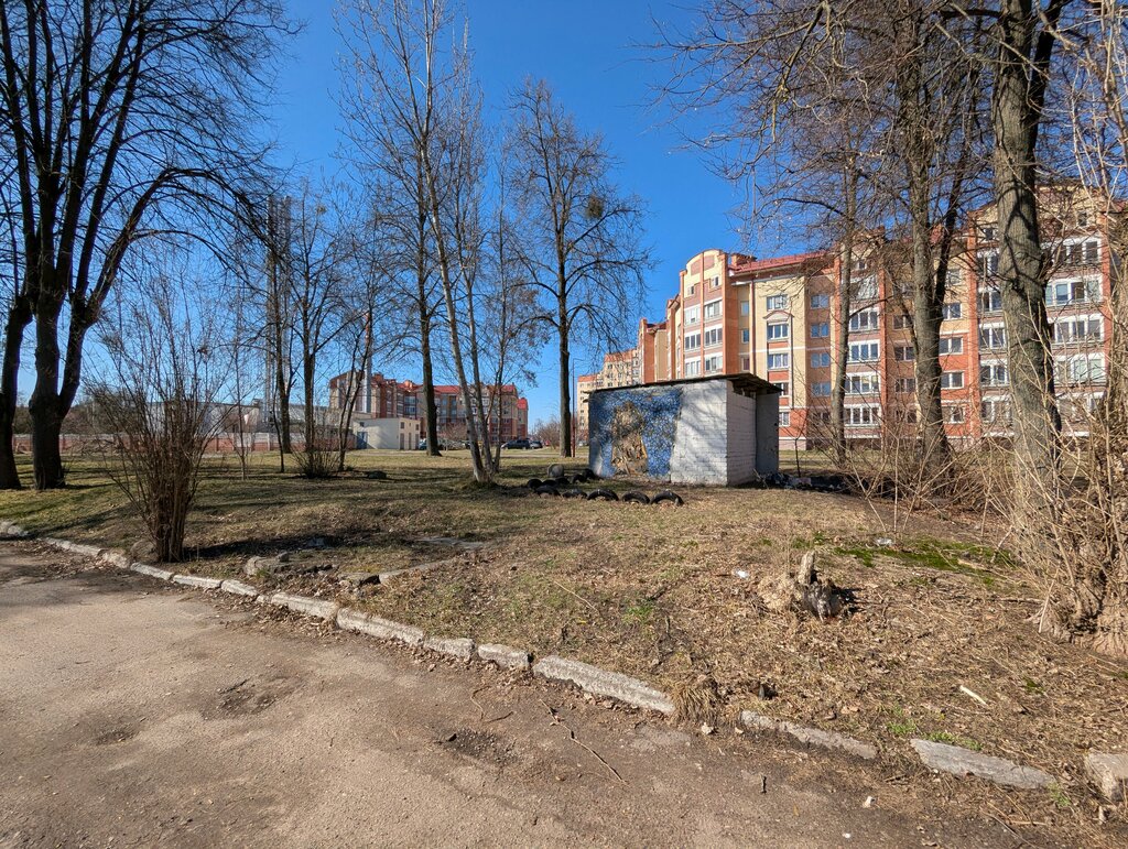 Turistik yerler Мозаика Воин победитель, Brest, foto