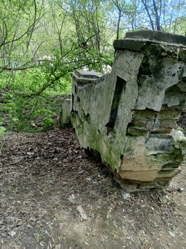 Arkeolojik sit alanı Руины пионерского лагеря Голубое озеро, Tataristan, foto