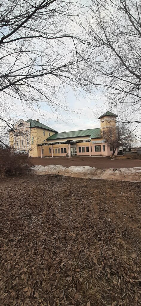 Acil tıbbi yardım hizmeti Давлекановский пункт Чишминской подстанции скорой медицинской помощи, Davlekanovo, foto