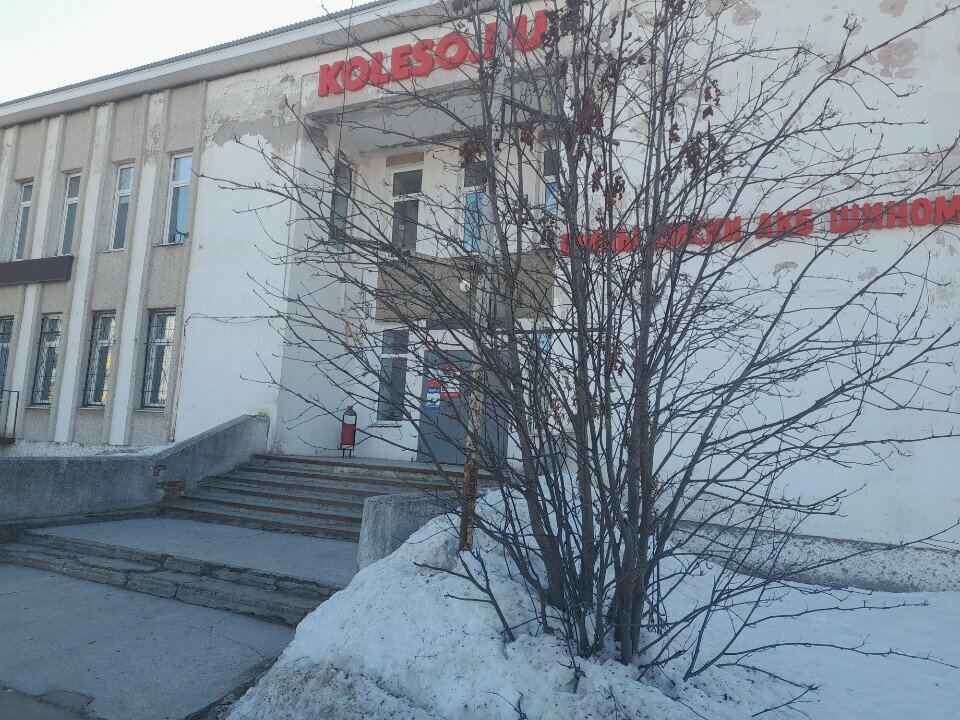 Oto aksesuarları Avtozashchita, Perm, foto