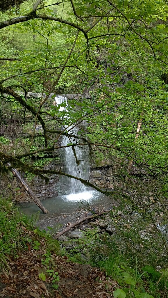 Şelale Waterfall, Soçi, foto