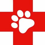 Medical-Vet (Novo-Yamskaya Street No:21А), veteriner klinikleri  Vladimir'den