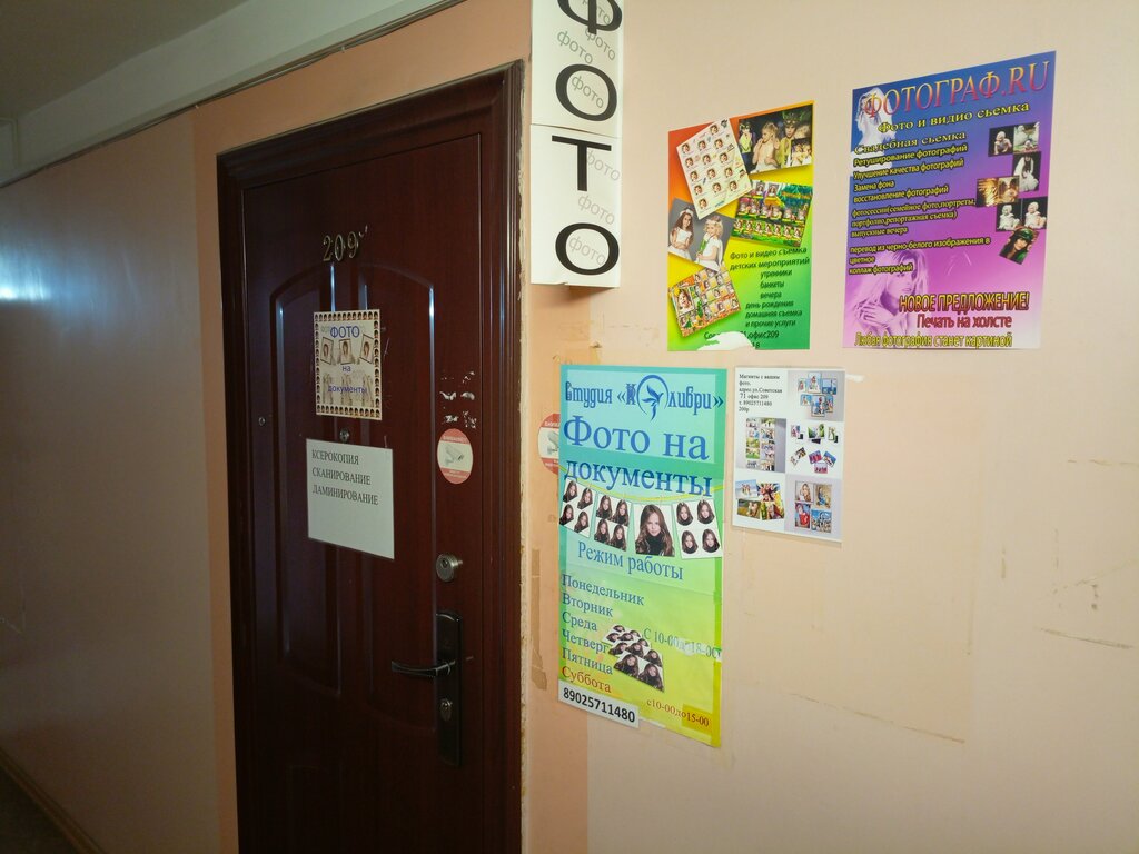 Fotoğraf hizmetleri Колибри, Holmsk, foto