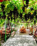 Garniresthost (Gevorg Marzpetuni Street No:9, Garni village), restoran  Kotayk'tan