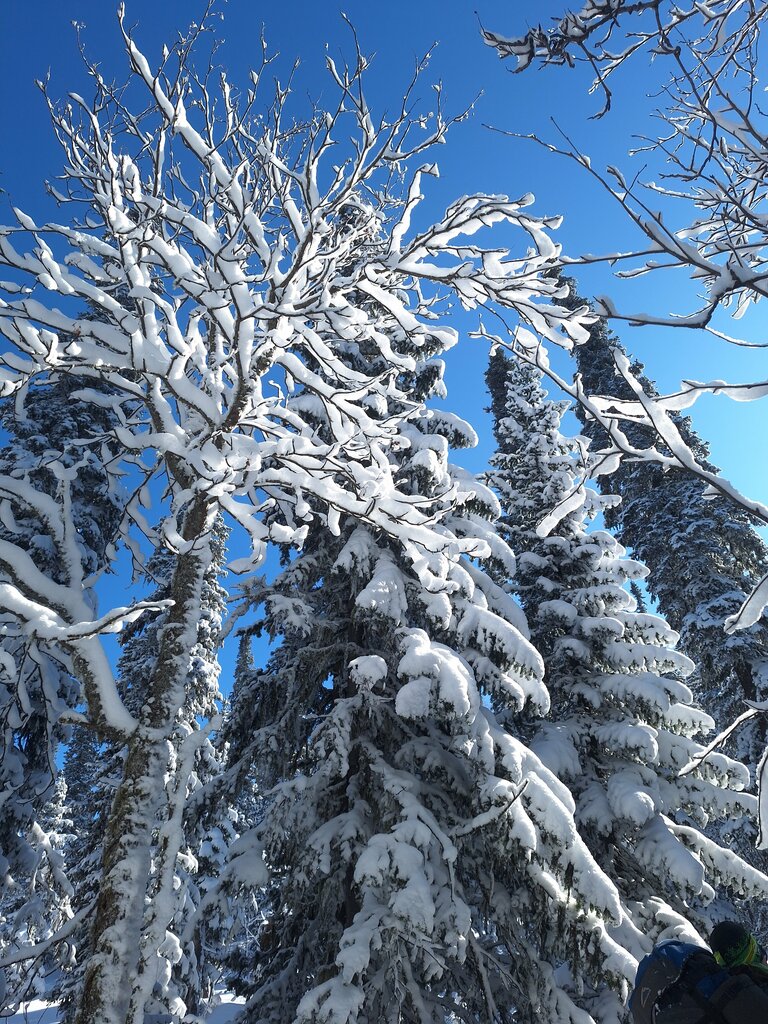 Dağ geçidi Перевал Маруха, , foto
