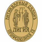 Ligiya (Profsoyuznaya Street No:13/16, Vakhitovskiy City Administrative District), antikacı dükkanları  Kazan'dan