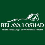 Belaya Loshad (Mır kóshesi No:108А), alkollü içecekler  Rudny'den