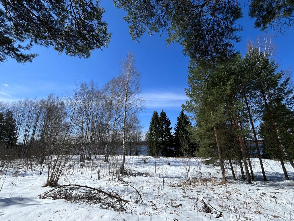 Tatil köyleri Konakovo, baza otdykha, Tverskaya oblastı, foto