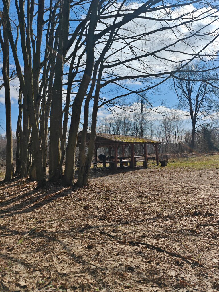 Spor tesisi Страйкбольный полигон Роща, Brestskaya oblastı, foto