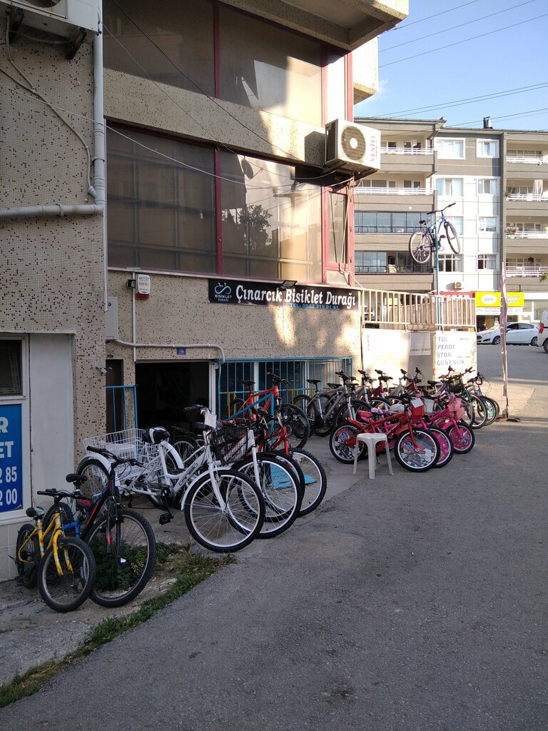 Bisiklet mağazaları Çınarcık Bisiklet Kiralama Ve Tamir Durağı - Bike Rental - Bike Repair, Çınarcık, foto