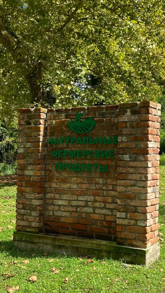 Şaraphane Eko Ferma Tkuarchal, Tkvarçeli, foto