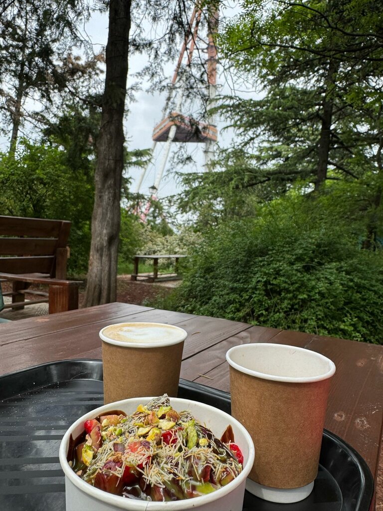 Fast food Mtatsminda Fried Chicken, Tiflis, foto