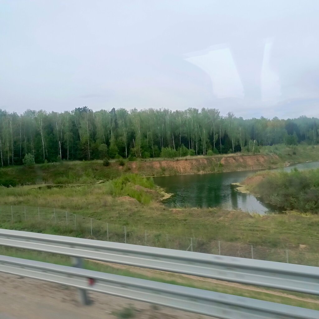 Orman Goreliy Forest, Moskova ve Moskovskaya oblastı, foto