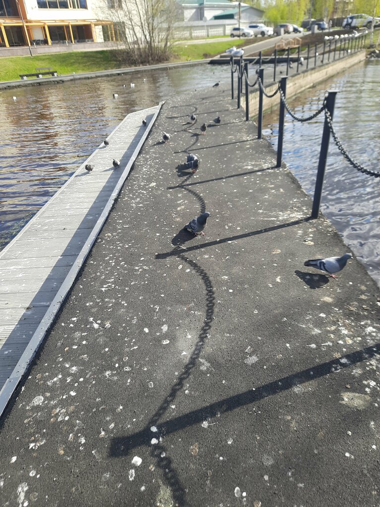 Dekorasyon ve süsleme, onur panosu Утиный ресторан, Petrozavodsk, foto