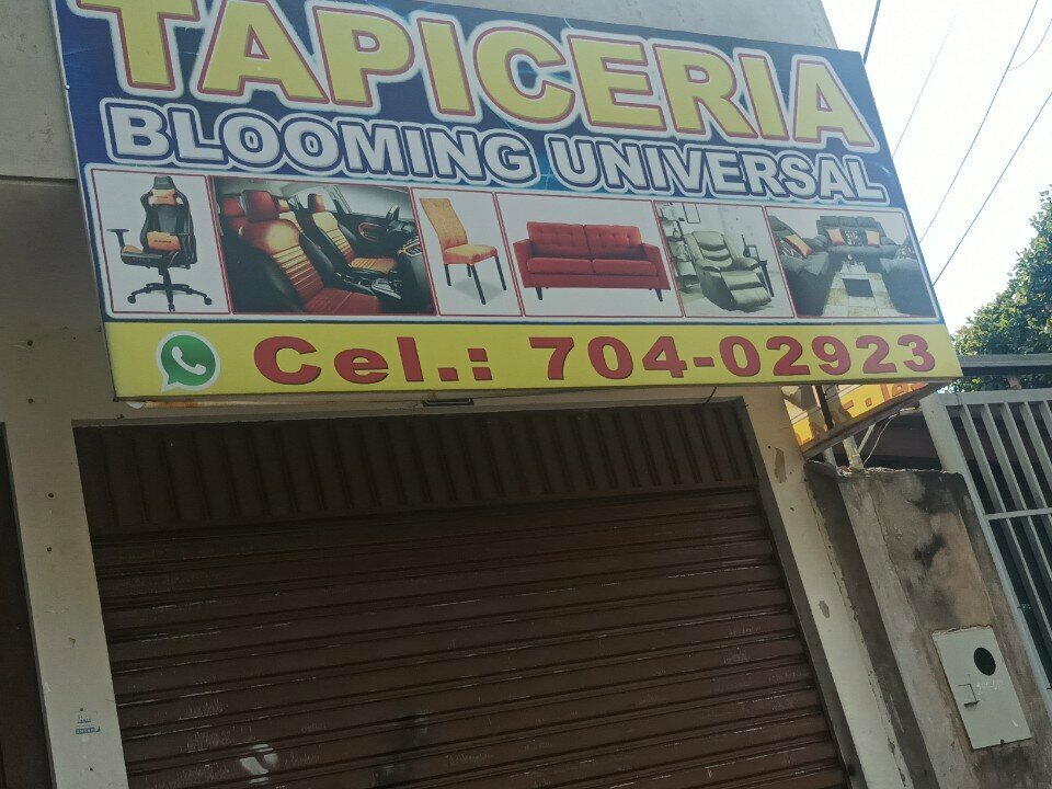Mobilya tamir, tadilat Tapicería Blooming, Santa‑Krus, foto