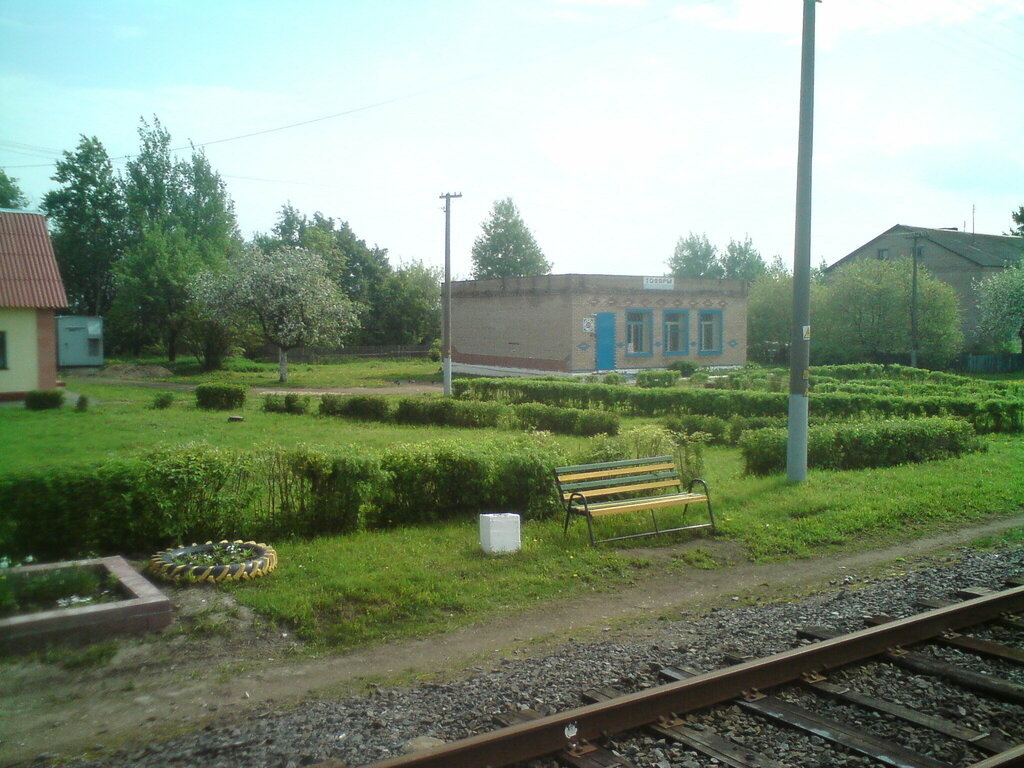 Tren istasyonu Smaĺjany Station, Vitebskaya oblastı, foto