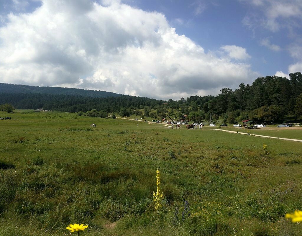 Piknik alanı Abant Gölü Milli Parkı Kıbrıs Çeşmesi Piknik Alanı, Mudurnu, foto