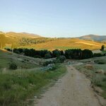 Curali Köyü Muhtarlığı (Yozgat, Çayıralan, Curali Köyü, Okul Sok., 8), muhtarlıklar  Çayıralan'dan