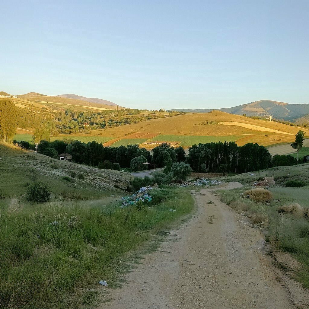 Muhtarlıklar Curali Köyü Muhtarlığı, Çayıralan, foto