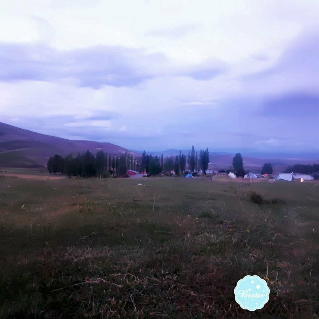 Muhtarlıklar Hastarla Köyü Muhtarlığı, Çayırlı, foto