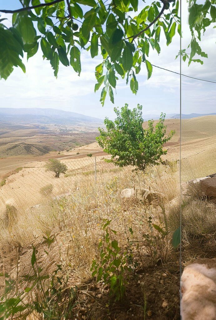 Muhtarlıklar Kazankaya Köyü Muhtarlığı, Kemah, foto