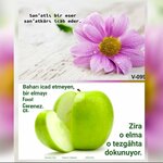 Karesi vakfı Gündüzalp Apt (Balıkesir, Altıeylül, Hacı İlbey Mah., Ergin Sok.), dini dernekler  Balıkesir'den