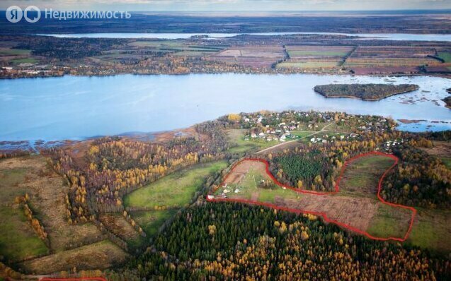 Yazlık yerleşim Пять озер, Saint‑Petersburg ve Leningradskaya oblastı, foto