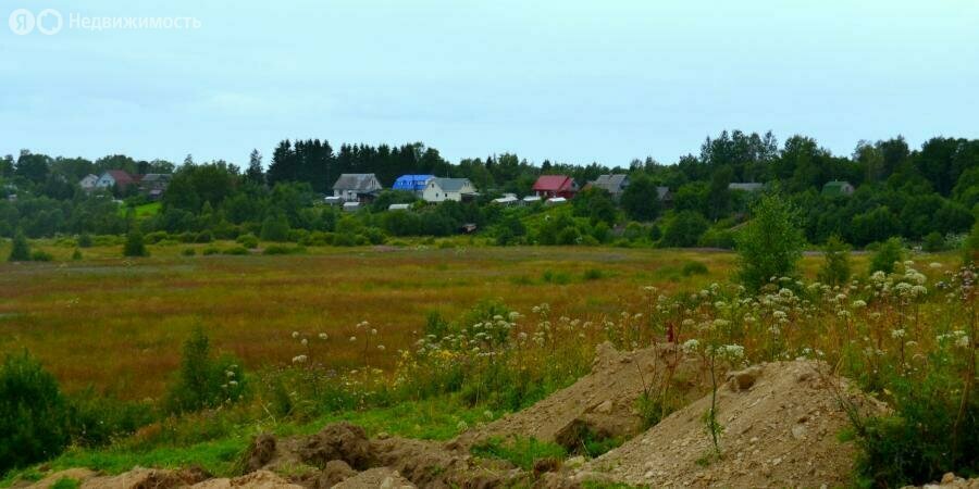 Yazlık yerleşim Солнечная равнина, Saint‑Petersburg ve Leningradskaya oblastı, foto