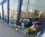 Цветы (Artsakh Avenue No:2/6), çiçekçiler  Erivan'dan
