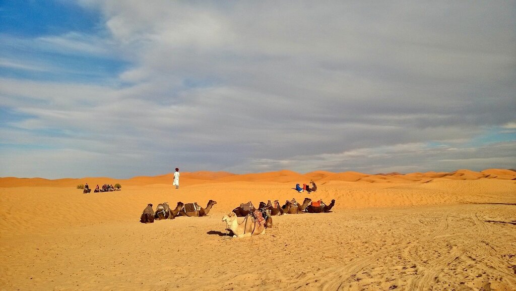 Otel Maison Bedouin Merzouga, Dünya, foto